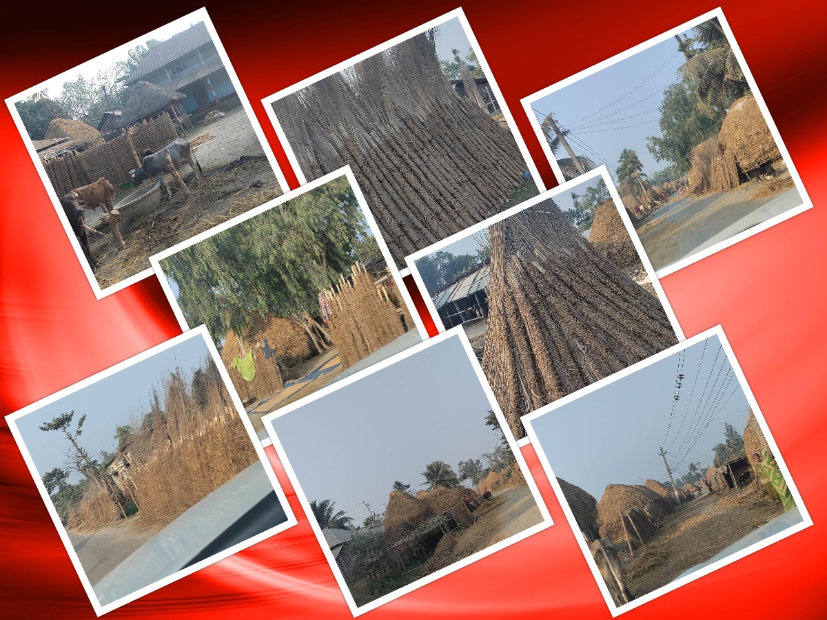 दाउराको विकल्प गुइँठा « Globe Nepal